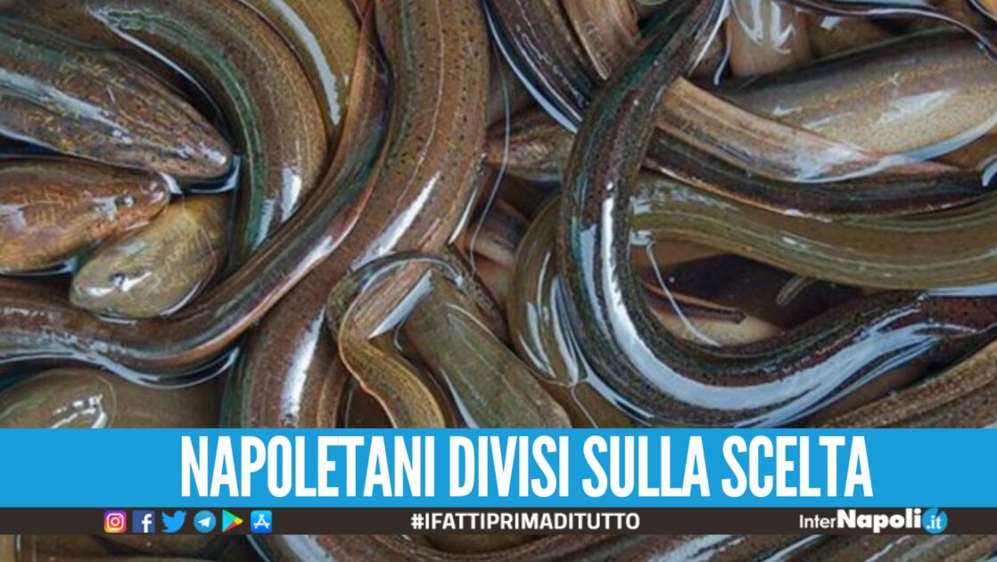 Anguilla o capitone, la differenza sul 'classico' piatto di Natale