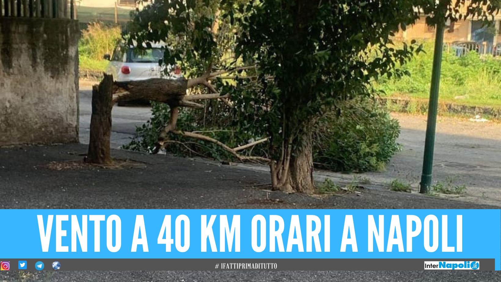Vento a 40 km orari a Napoli e provincia, crollano alberi e tabelloni