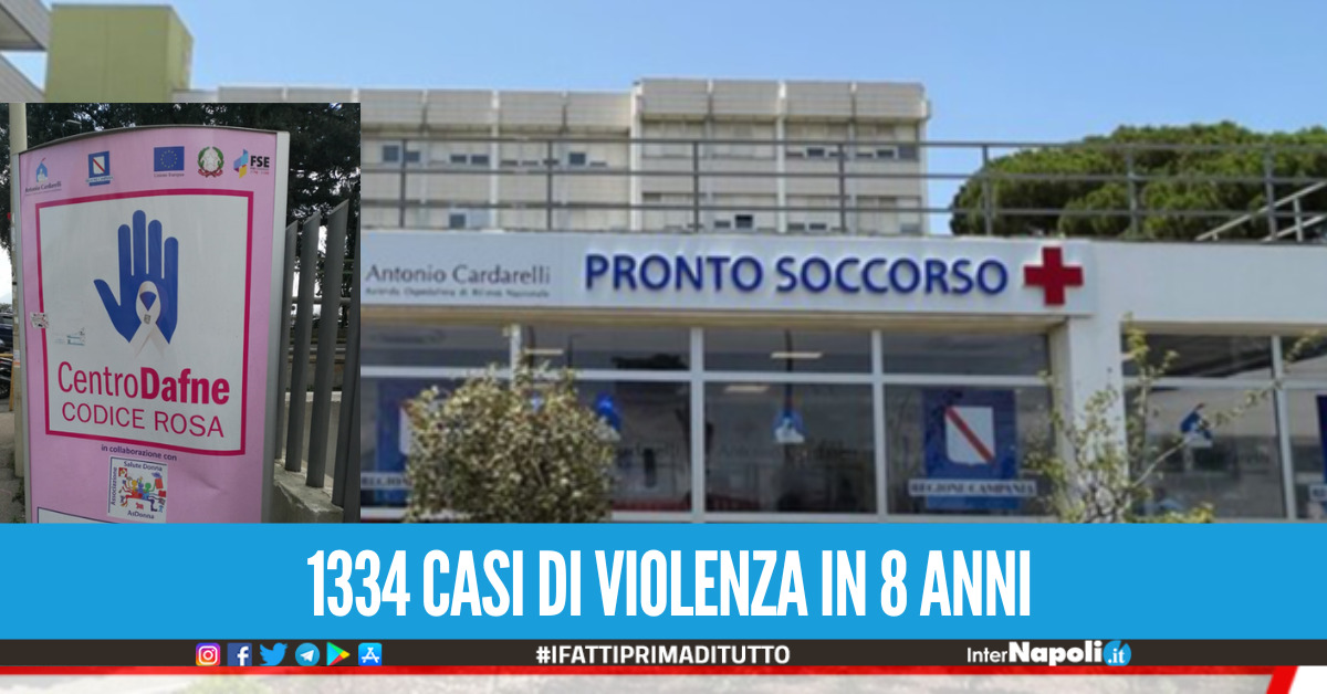 Ospedale Cardarelli, i tristi numeri: 1334 violenze di genere ...