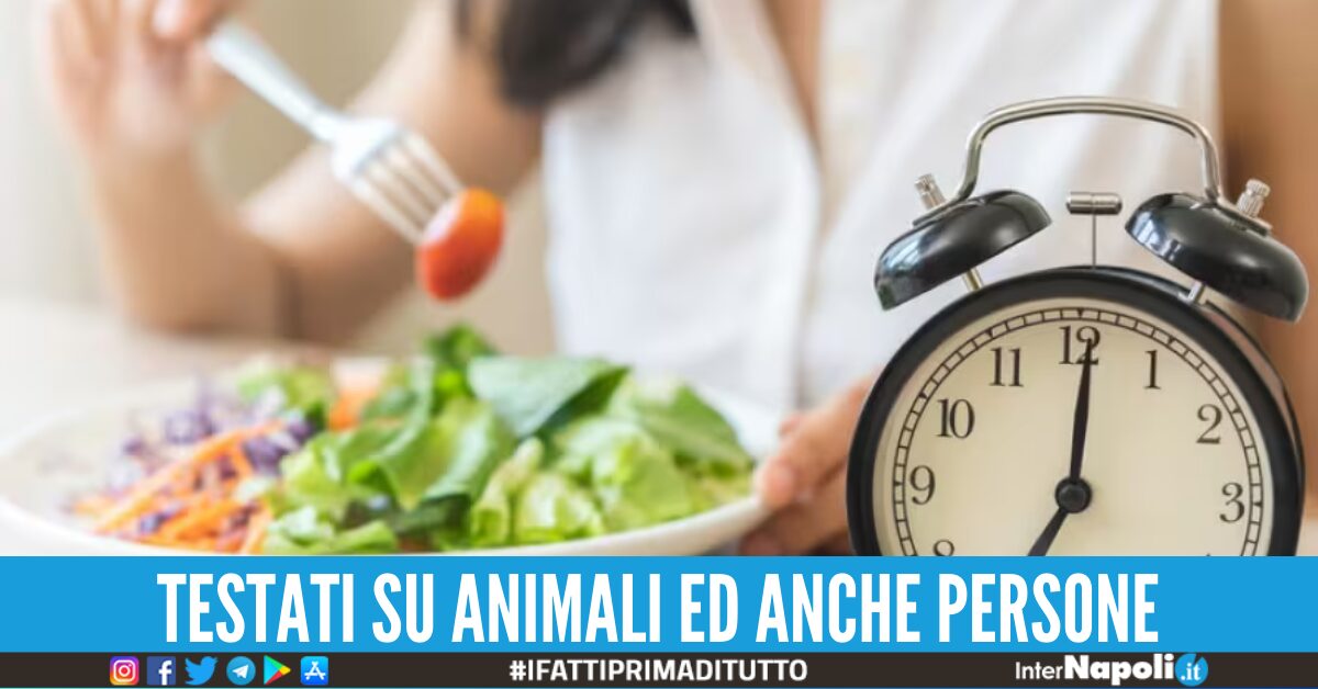 Studi scientifici dimostrano: c'è una dieta per contrastare la leucemia ...