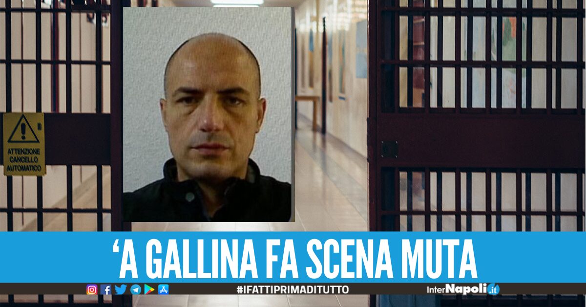 Camorra ed estorsione per il clan Licciardi, scena muta davanti al gip ...