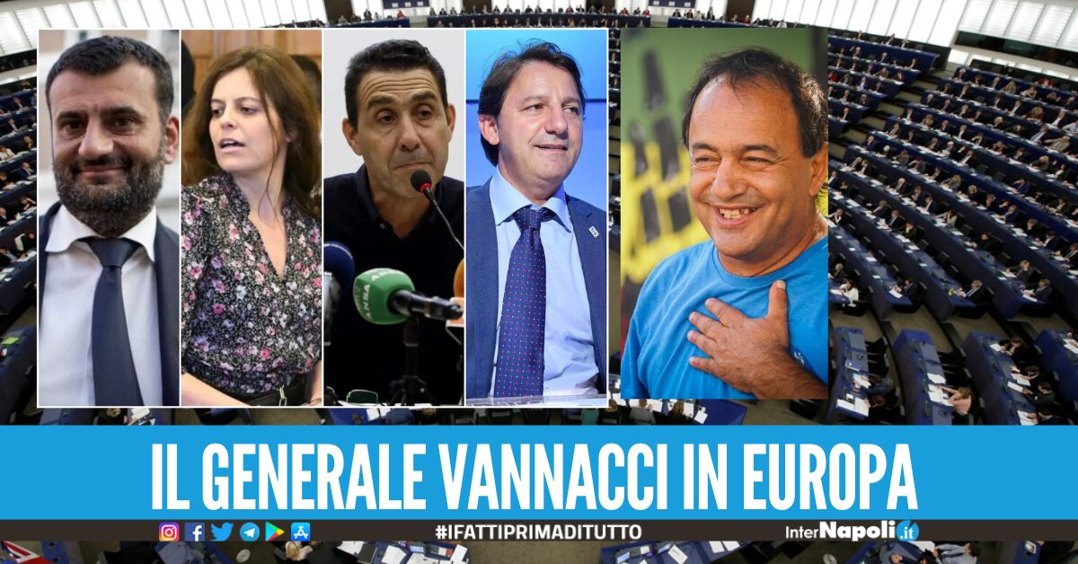 Elezioni Europee 2024: tra gli eletti ci sono il generale Vannacci ...