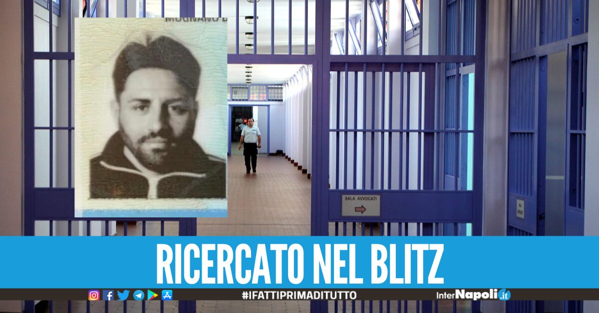 Blitz a Miano, all’appello manca il ras Oscar Pecorelli ‘o pastor