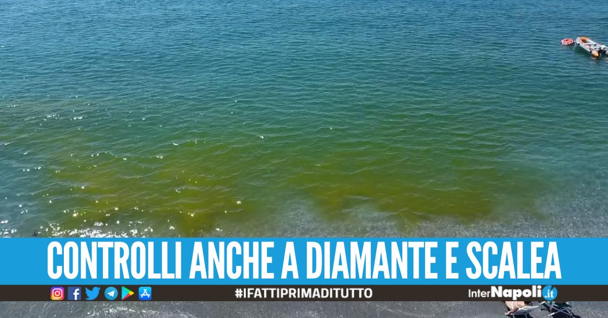 La rabbia dei turisti napoletani a Scalea: "Il mare è verde"
