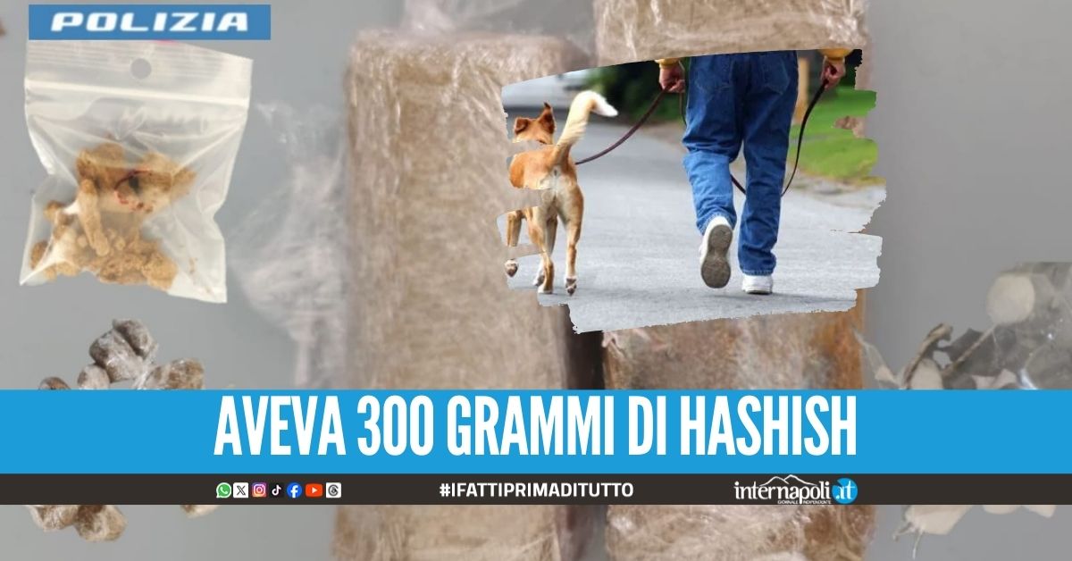 "Ho sceso il cane", pusher tenta di evitare l'arresto a Ponticelli