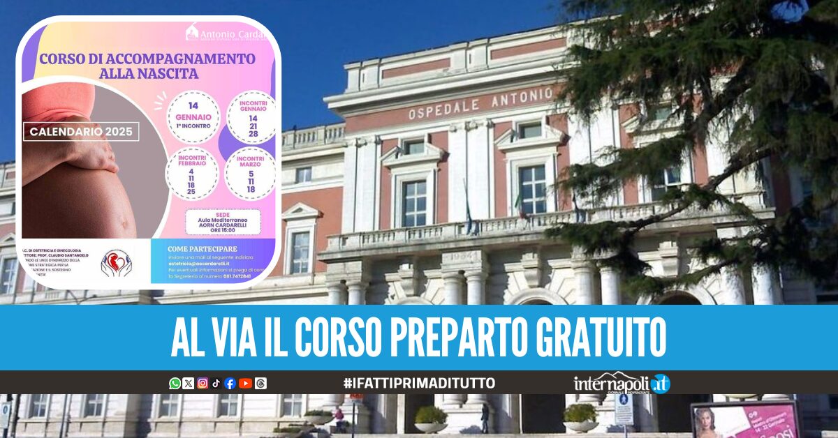Nuovi nati al Cardarelli, ogni giorno oltre 2 parti di cui uno ad alto ...
