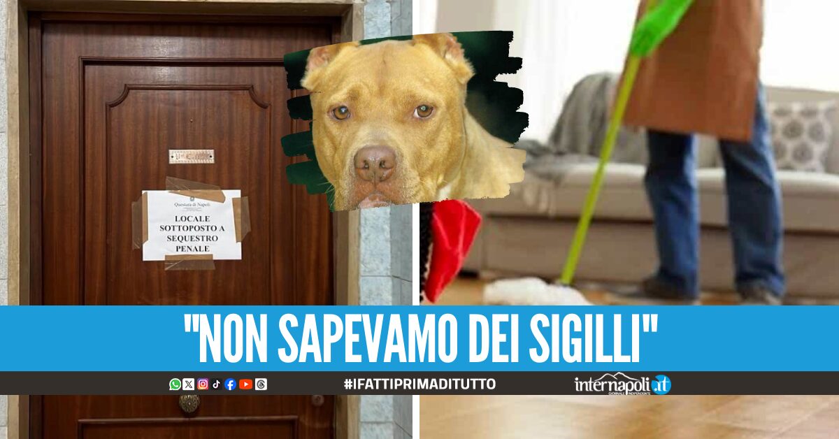 Giulia uccisa ad Acerra, il giallo del sangue sparito: i familiari ...