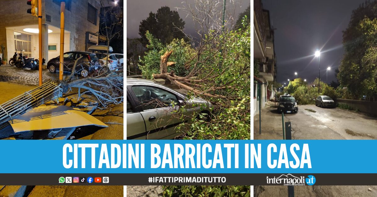 Bufera di vento si abbatte su Napoli e provincia, alberi caduti e ...