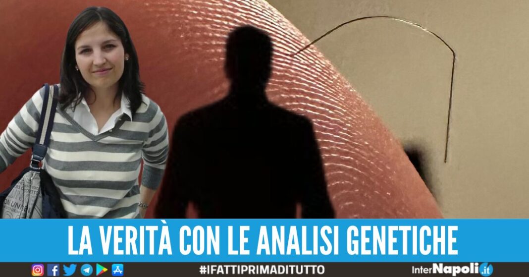 Caso Garlasco, indizi sull'assassino: il capello trovato in casa non è ...