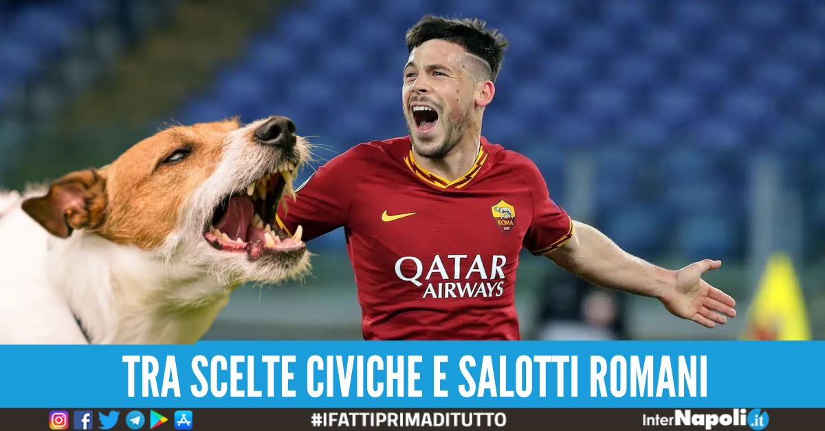 Ex calciatore della Roma morso ai genitali da un cane, è in gravi ...