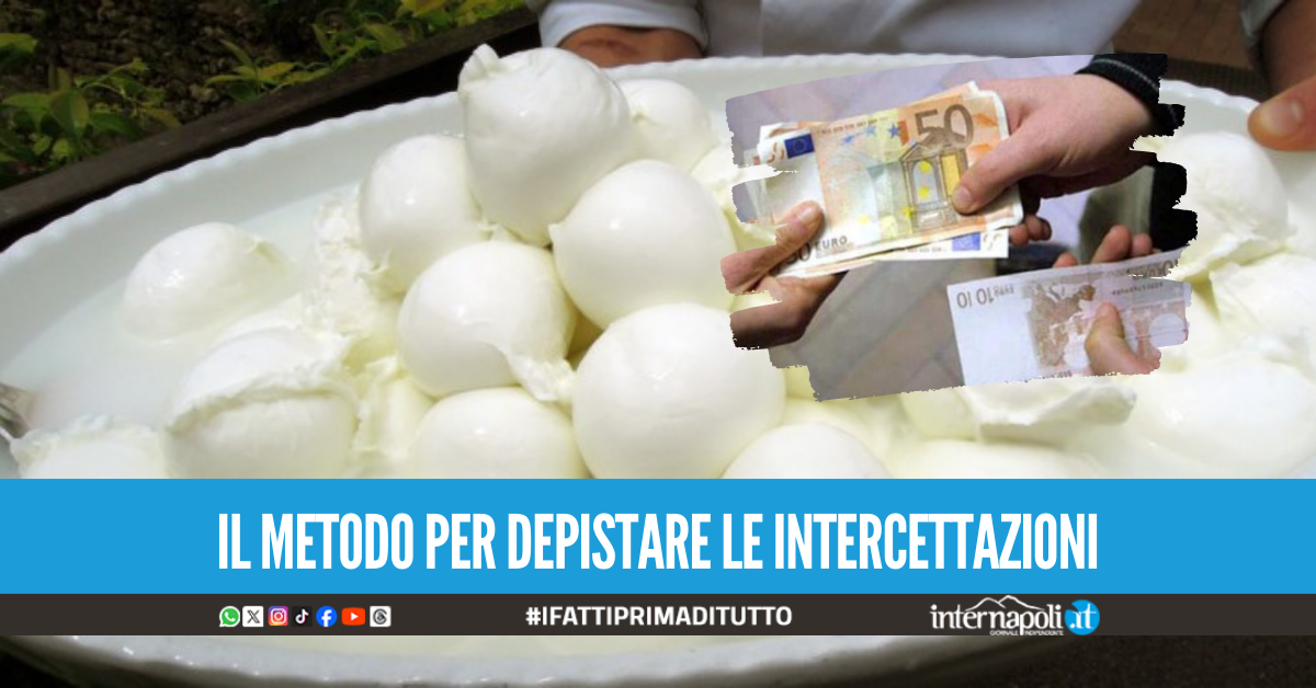 Parlavano di "partite di bufale" e "pastino di mele" per coprire i ...