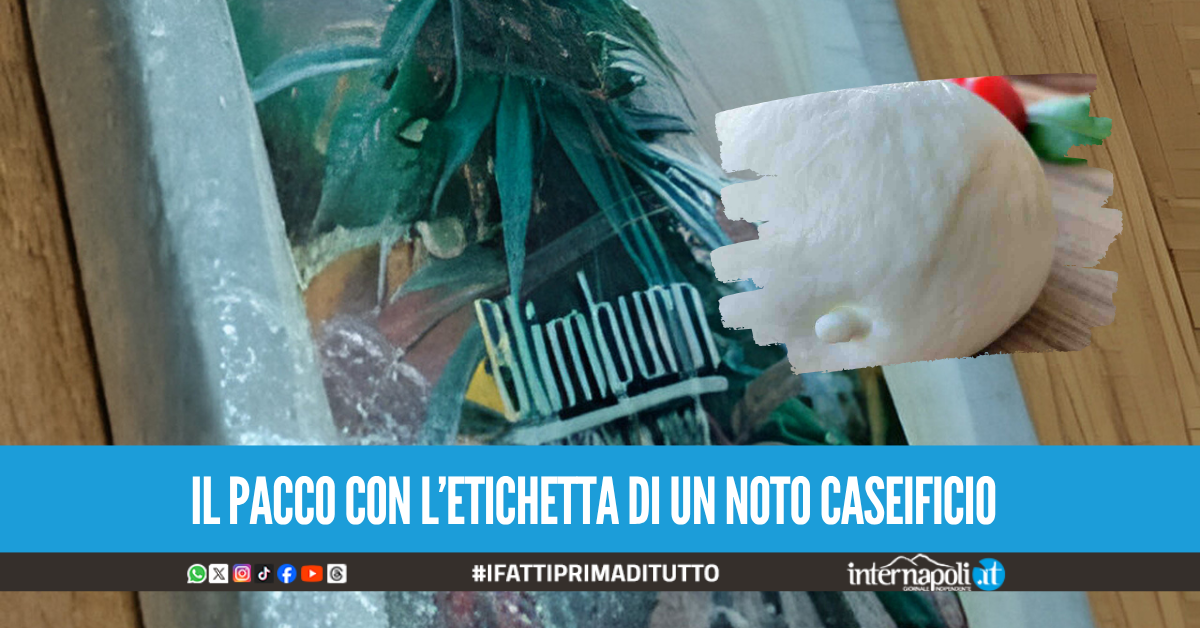 Hashish in viaggio con la mozzarella, denunciato dipendente della ditta ad Ischia