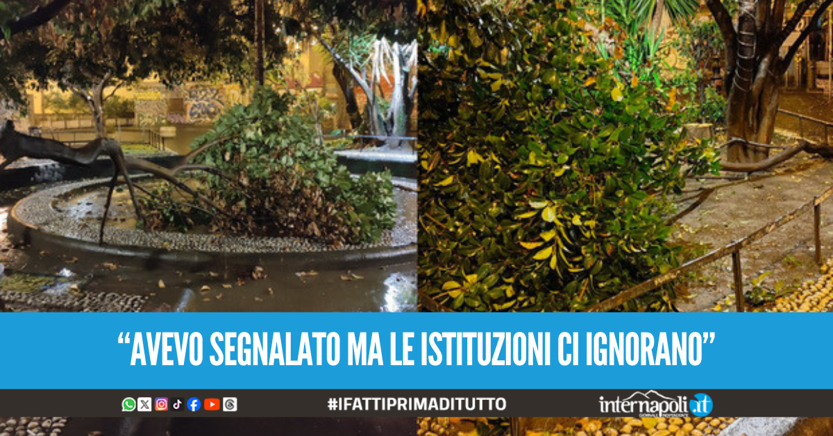 Paura in piazzetta Orientale a Napoli, crollano due alberi fuori al "Kestè"