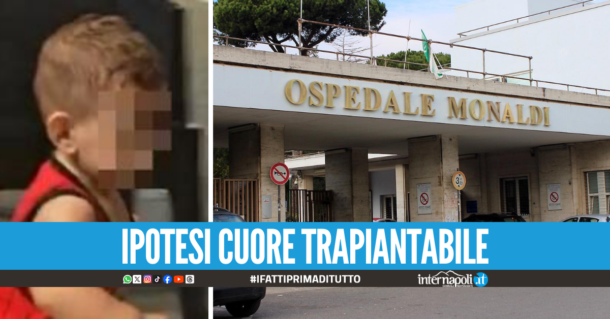 La mamma del piccolo Tommaso convocata al Monaldi, ipotesi arrivo di un ...