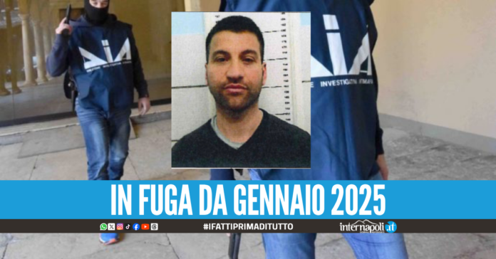 Colpo al clan, arrestato il superboss Roberto Mazzarella