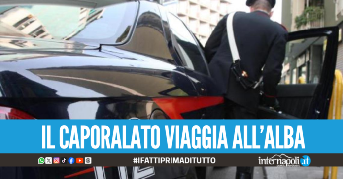 Quarto al setaccio, scoperte navette abusive che trasportavano ...
