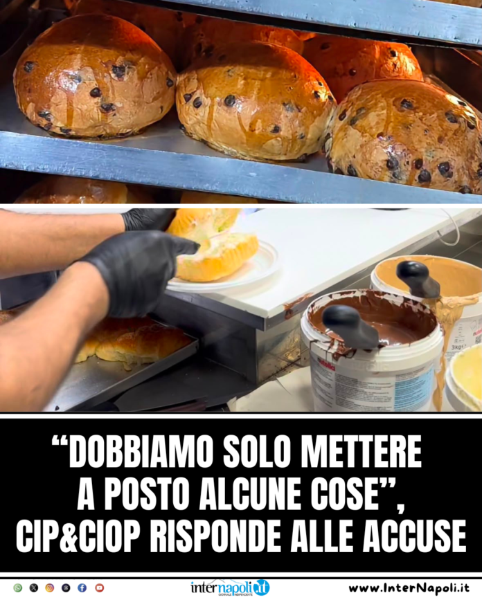 "Dobbiamo solo sistemare alcune cose", Cip & Ciop risponde alle accuse ...